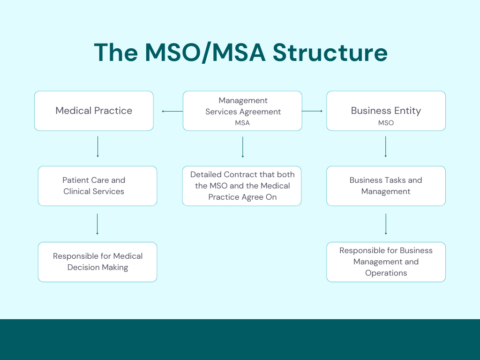 What is an MSO/MSA, and How Can It Help Your Business? - Lengea